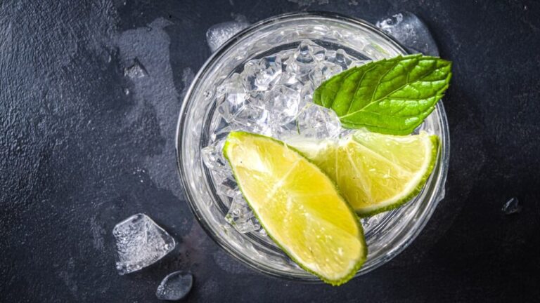 Quel gin utiliser pour un gin tonic ? - Atelier de la bière